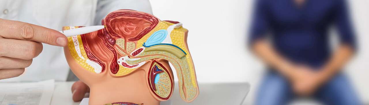 Urological Surgery - Platonas Medical Center (PMC)